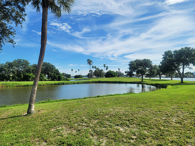 A peaceful oasis where palm trees sway against blue skies, offering a quiet moment away from beachside excitement.