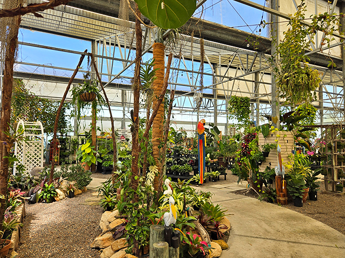Inside the greenhouse, exotic specimens reach for filtered sunlight while visitors wander through this humid cathedral of greenery.