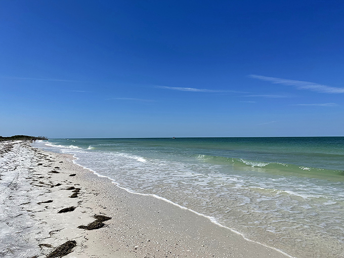 Honeymoon Island's pristine shoreline stretches into forever, where the Gulf of Mexico plays an endless game of tag with powdery white sand.