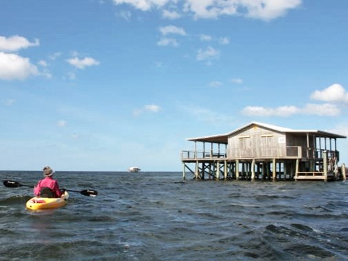 Adventure seekers paddle toward these remote treasures, where isolation meets Florida's maritime heritage in perfect harmony.