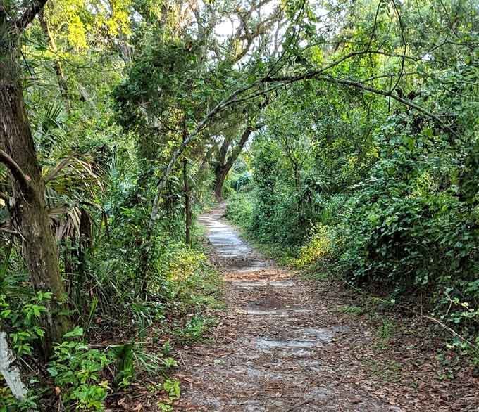 The trail disappears into greenery like nature's own secret passage, minus the bookcase door and with significantly more fresh air than your average mystery novel.