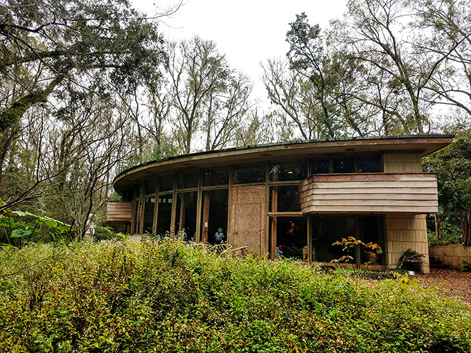 Curved lines and natural materials showcase Wright's organic philosophy – architecture that grows from the land rather than imposing upon it.