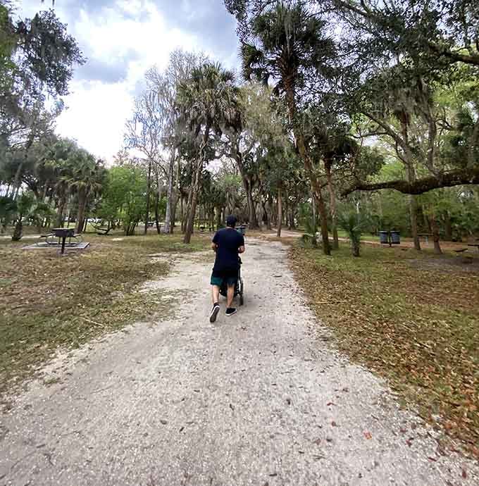 When the path looks this inviting, even people who claim to hate exercise suddenly become enthusiastic hikers with opinions about proper walking shoes.