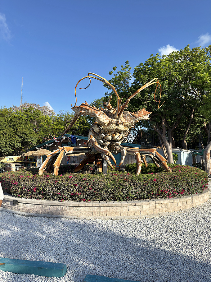 Meet the unofficial mayor of Rain Barrel Village&mdash;a spiny lobster sculpture that's more photographed than most Florida politicians.