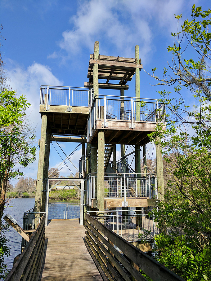 Stairway to heaven or just a really good view? This observation tower offers panoramic vistas that'll make your Instagram followers green with envy.