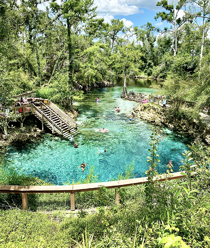 Madison Blue Spring Overlook Angle: From this vantage point, the spring's impossible blue hue looks like someone spilled a giant bottle of Caribbean seawater in the middle of Florida.