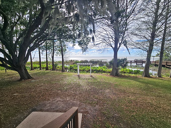 Magnolia Park offers shaded respite where ancient trees frame lake views, creating the kind of peaceful setting that makes you forget your phone exists.