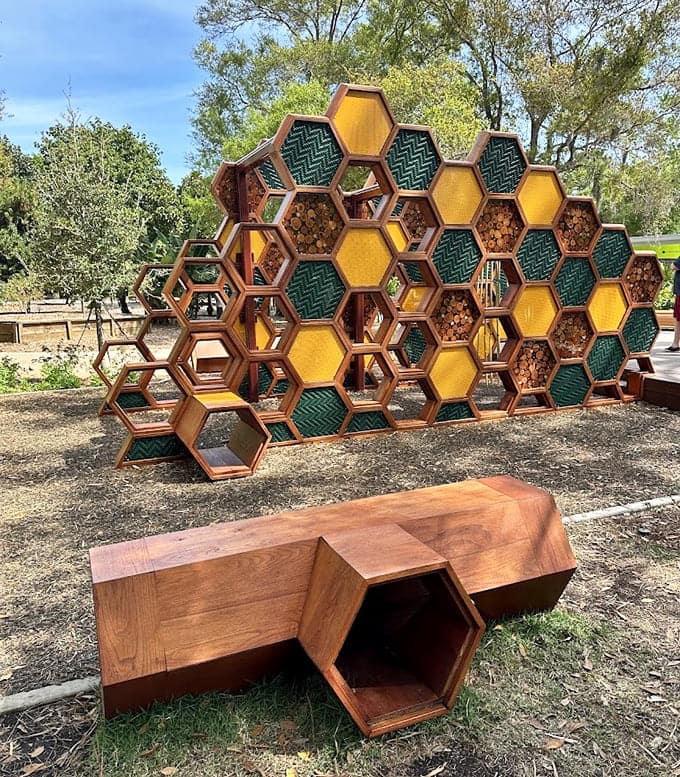The honeycomb climbing structure teaches geometry and ecology simultaneously, proving that the best education happens when kids don't realize they're learning anything at all.
