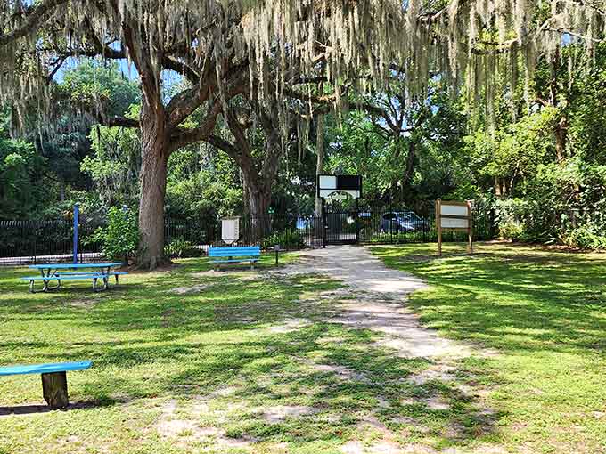 Those blue picnic tables have hosted more family memories than a photo album, each one positioned for maximum relaxation potential.