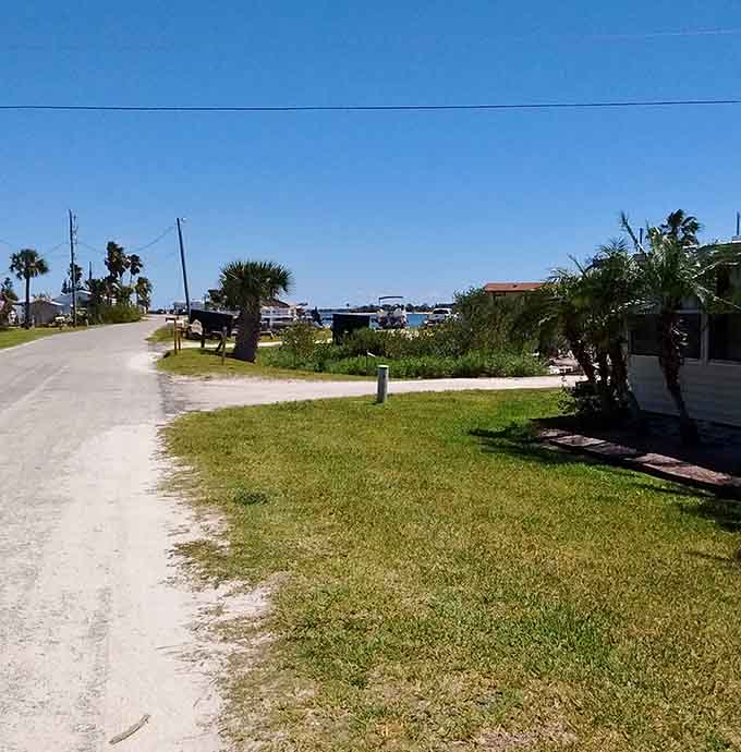 The unassuming dirt roads leading to the lagoon don't look like much, but they're your gateway to some of Florida's most spectacular natural experiences.