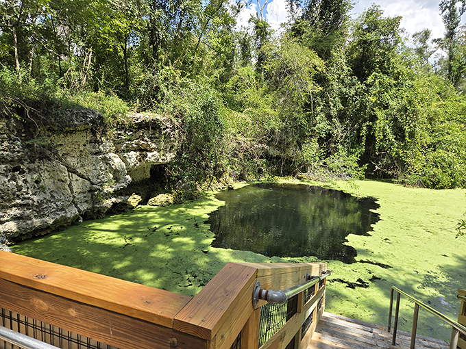 The deceptively serene surface belies the adventure beneath – like finding a secret passage in your childhood home.