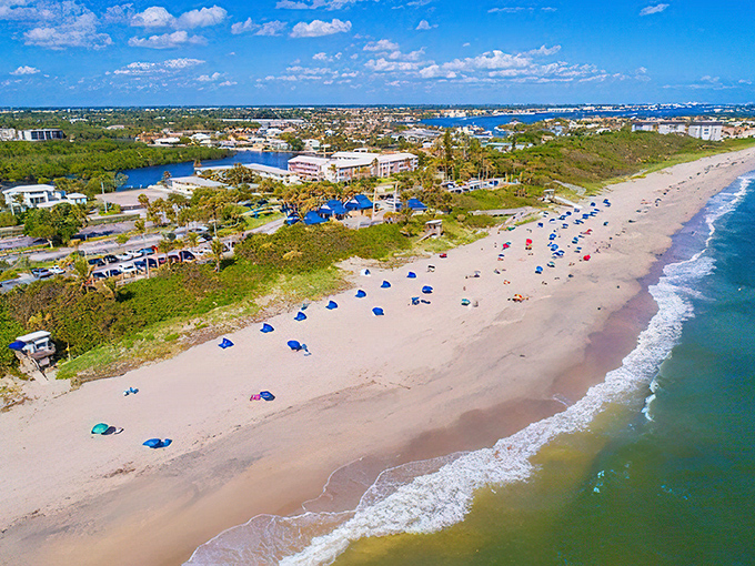 Oceanfront Park's pristine shoreline invites beachgoers to claim their slice of paradise without the elbow-to-elbow crowds of Florida's more famous beaches.