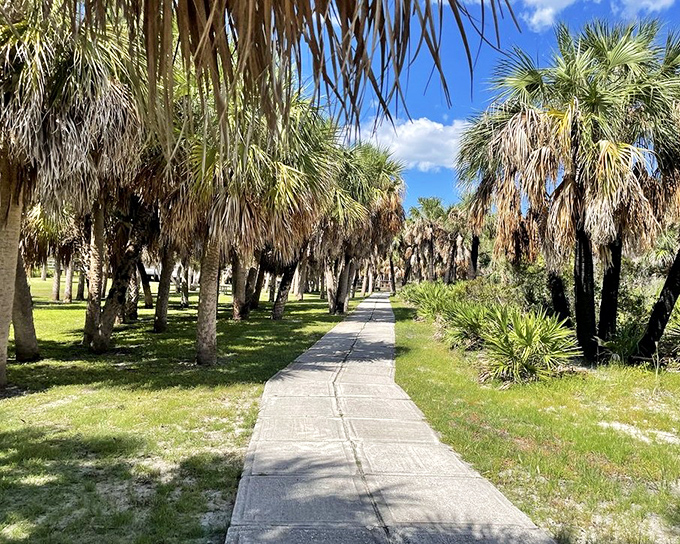 Palm sentinels line this pathway like nature's royal guard, creating a dappled journey between island wilderness and beach paradise.