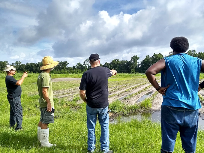 Farmers survey their domain, reading the land like others read books&mdash;with concentration, respect, and occasional head-scratching.