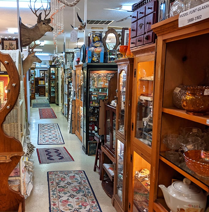 Walking these aisles feels like exploring a museum where history isn't roped off – it's waiting for you to take it home.