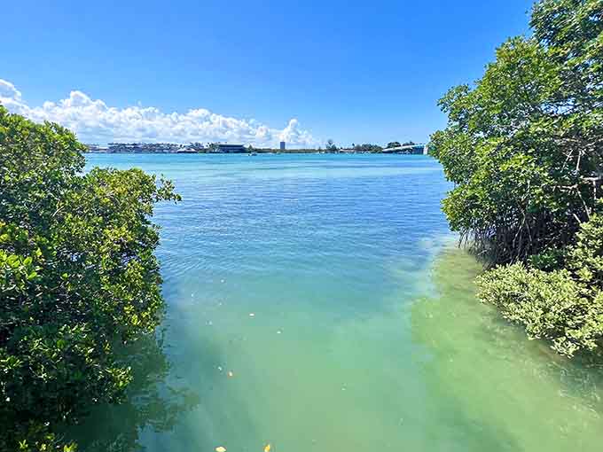 These turquoise waters look like someone Photoshopped reality, but nope, this is just regular Tuesday at Quick Point Nature Preserve.