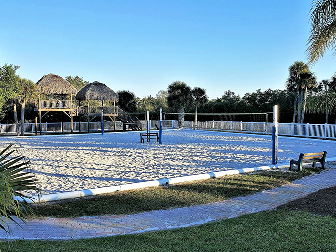 Sand volleyball courts framed by thatched huts offer beachgoers a chance to spike, serve, and laugh under swaying palms.