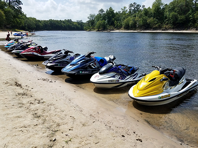 Weekend warriors line up their watercraft along the sandy shore, ready for aquatic adventures on the historic Suwannee River.
