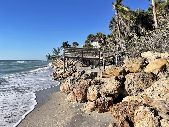 Where land meets sea in dramatic fashion – Blind Pass Beach's rocky shoreline creates perfect pockets for shell accumulation during high tide.