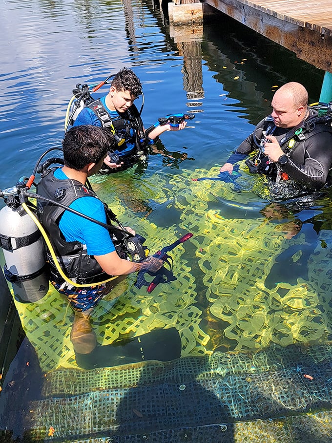 Scuba instructors prepare new divers for the unique underwater check-in experience, where diving skills replace the typical hotel elevator.