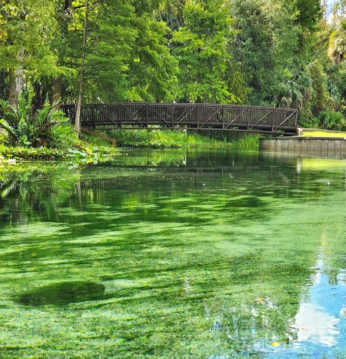 Where dreams and reality merge: The wooden bridge spans more than just water&mdash;it connects our everyday world to nature's version of paradise.
