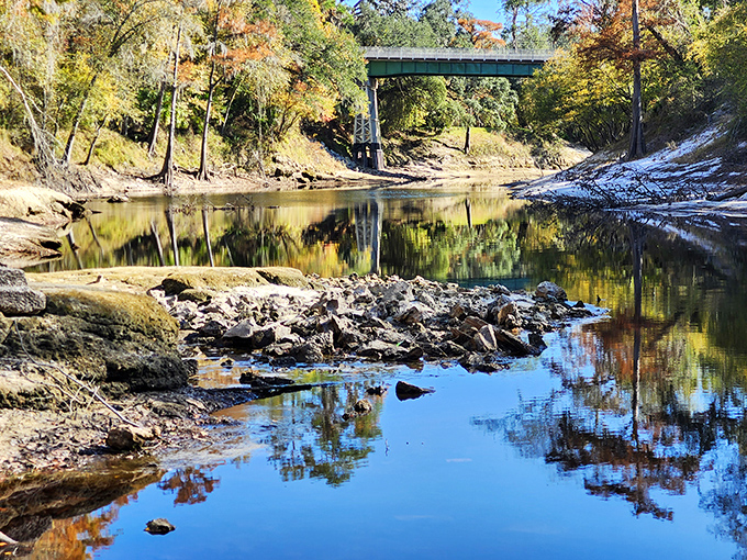 The legendary Suwannee River flows past ancient cypress knees, carrying stories downstream like whispered secrets from another time.