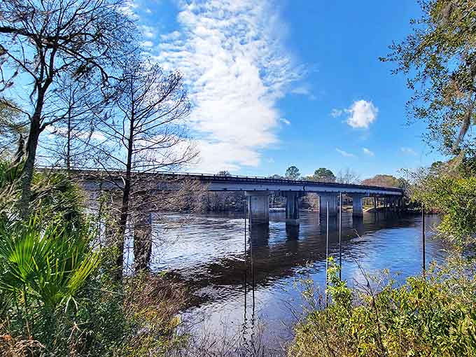 The Suwannee River bridge stands like a sentinel, connecting modern life to a slice of old Florida that time politely decided to leave alone.