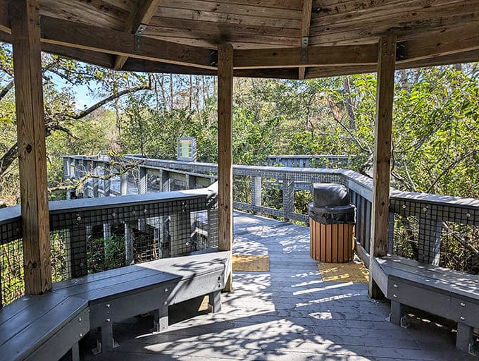 This gazebo offers front-row seats to the greatest show on earth, and the tickets are absolutely free.