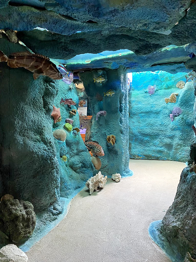 Step into an underwater fantasy where fish seem to swim through solid walls&mdash;this immersive exhibit brings marine ecosystems to life without getting wet.