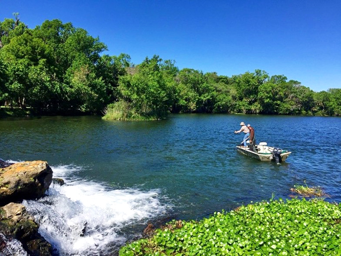 Fishing where the water runs clear as gin! This spring-fed paradise offers anglers a chance to spot their catch before it even bites.