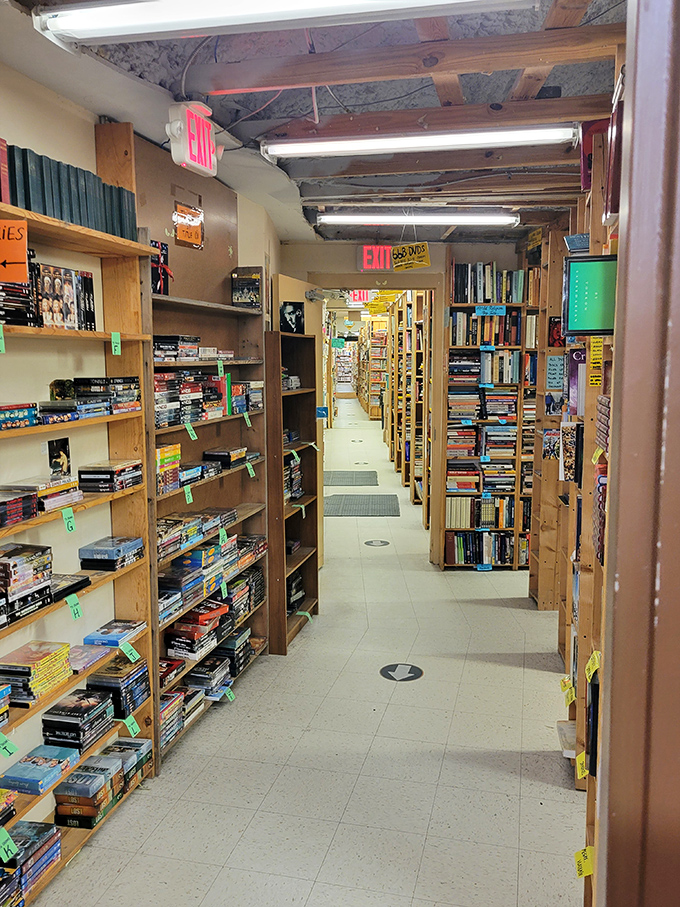 Follow the fluorescent lights down this paper-lined path, where each step brings new literary possibilities into view.