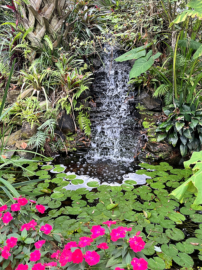 Water cascades over rocks into a lily pad haven, creating nature's version of a spa soundtrack that no phone app can truly replicate.