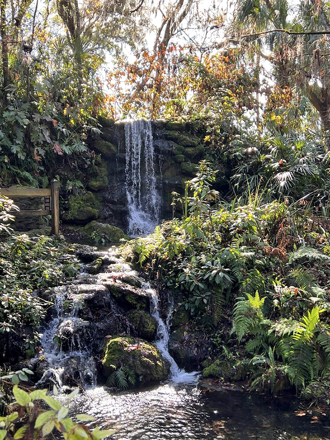 This waterfall might be man-made, but the serenity it creates is 100% authentic natural therapy.