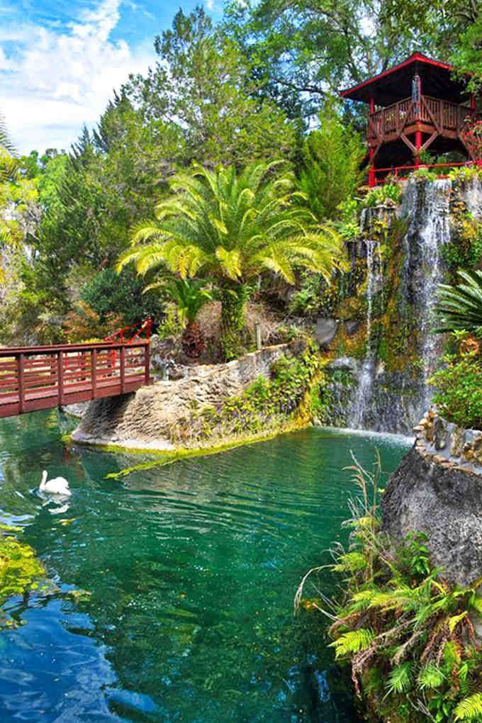 The red footbridge arches gracefully over koi-filled waters &ndash; each fish below living its best, well-fed Florida retirement life.