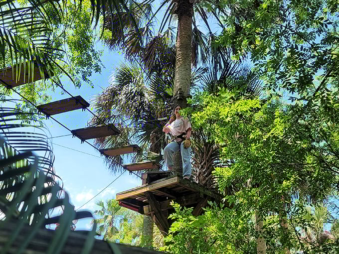 Who needs ordinary vacation photos when you can capture yourself suspended above alligator-infested waters on the park's thrilling zipline adventure?