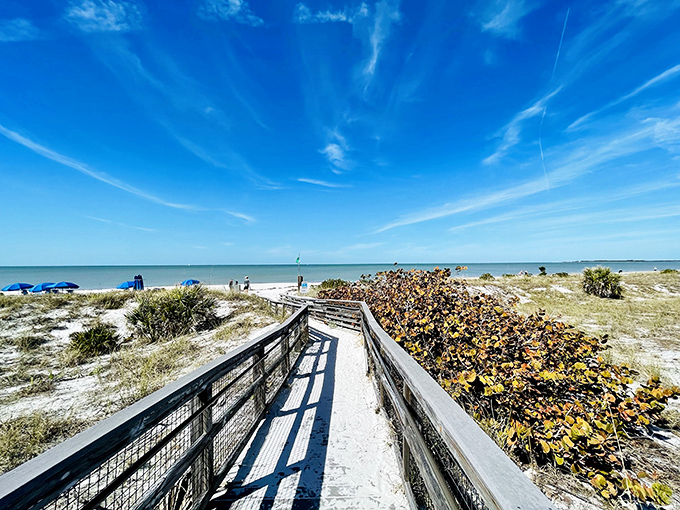 The moment every hiker dreams of &ndash; that first glimpse of pristine shoreline after a journey through maritime forest, worth every step taken.