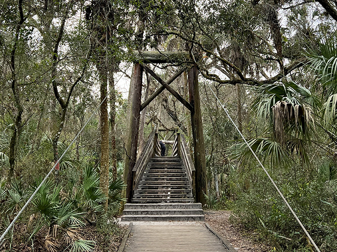 Stairway to serenity: this rustic wooden bridge promises adventure on the other side, supported by timbers that have witnessed countless wide-eyed wanderers.