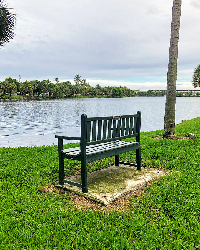 This lakeside bench isn't just furniture&mdash;it's front-row seating to nature's greatest show, no tickets required.
