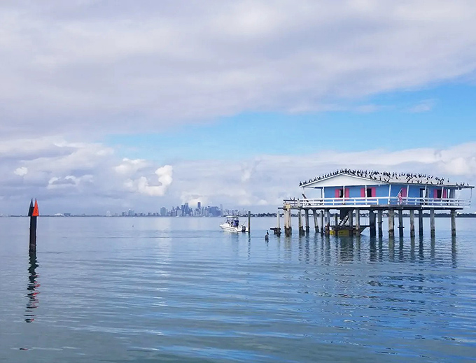 Nature's perfect symmetry &ndash; Miami's skyline shimmers in the distance while birds claim prime real estate on this historic stilt house.