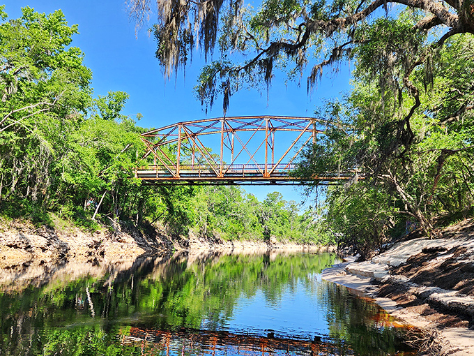 From a distance, the bridge appears like an industrial relic reclaimed by nature, its metal framework a stark contrast to the lush surroundings.