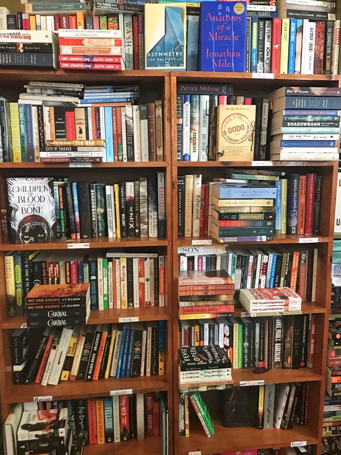 Contemporary fiction shelves bursting with carefully curated titles &ndash; from beach reads to literary heavyweights, each spine a doorway to another world.