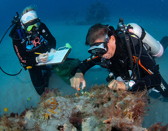 Marine scientists carefully document coral growth patterns, turning artistic vision into valuable conservation data.