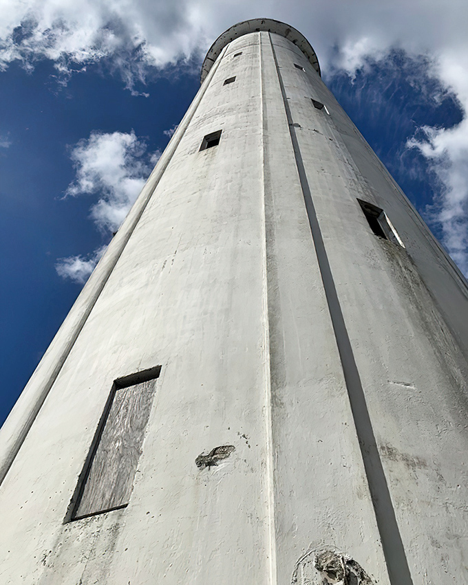 Extreme low-angle: From this perspective, you half expect to see Rapunzel letting down her hair &ndash; Florida's own fairy tale tower against an endless blue sky.