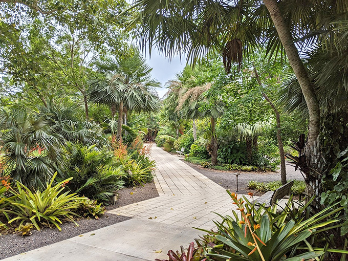 Winding through a palm paradise, this pathway invites exploration with its promise of hidden botanical treasures.
