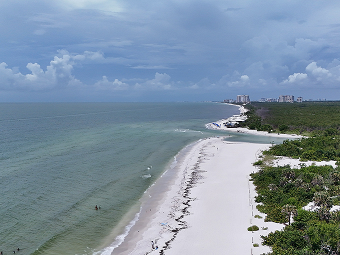 From above, Clam Pass Beach stretches like a white ribbon along Florida's coast, where high-rise buildings stand as distant reminders of civilization.