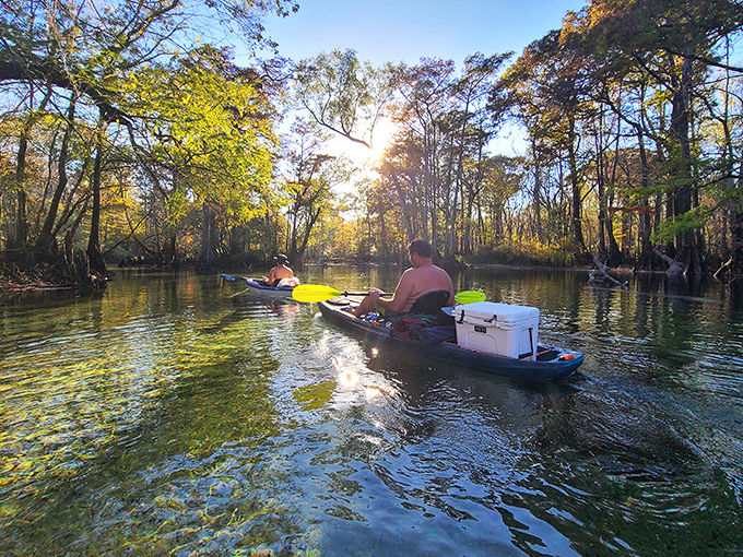 Kayaking through cypress-lined waterways feels like paddling through a living postcard, each stroke bringing you closer to hidden Florida magic.