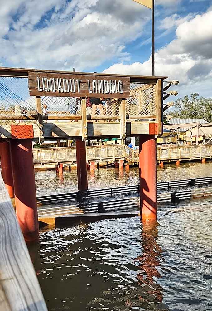 Lookout Landing offers the kind of views that make you forget you're about to plunge down a water slide, which is probably intentional and definitely effective.