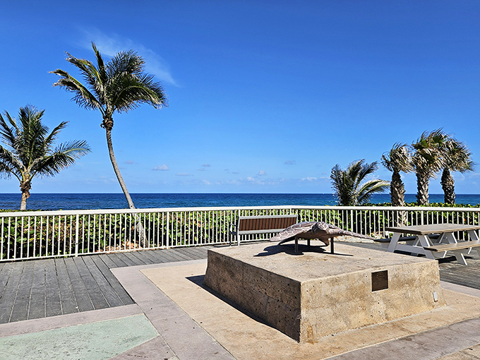 This oceanfront deck offers front-row seats to the Atlantic's daily performance &ndash; no tickets required, just bring your sense of wonder.