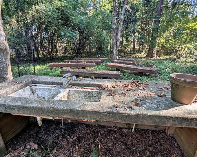 Even practical elements like this weathered sink carry stories, standing as rustic reminders of simpler times.
