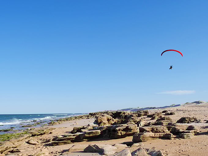 Freedom with a view! Someone's getting the bird's-eye tour of the coastline, proving gravity is just a suggestion when you've got the right equipment.
